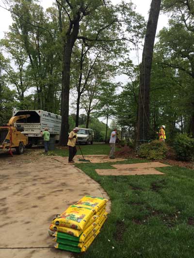 About | Top Notch Tree Service