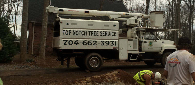 Winter Tree Care, Lake Norman, NC | Top Notch Tree Service