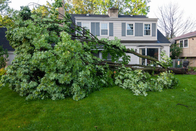 Why Tree Removal is Often an Important Part of Storm Damage Cleanup | Top Notch Tree Service